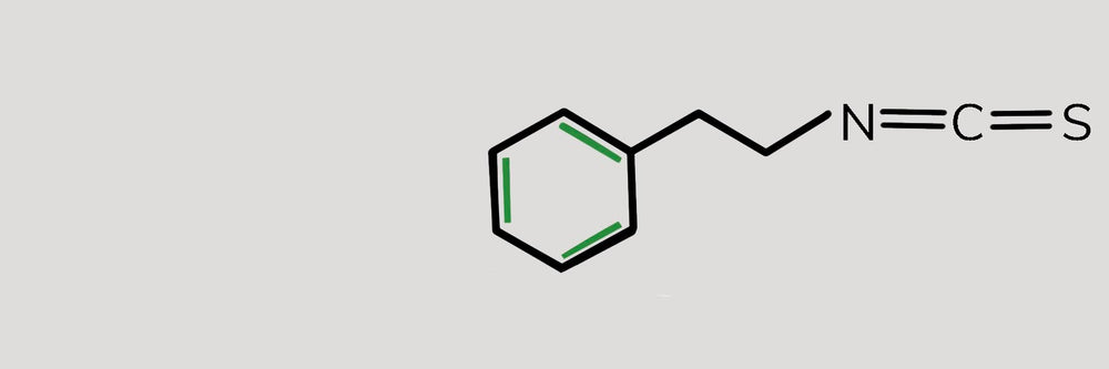 Meet The Team - Watercress Research
