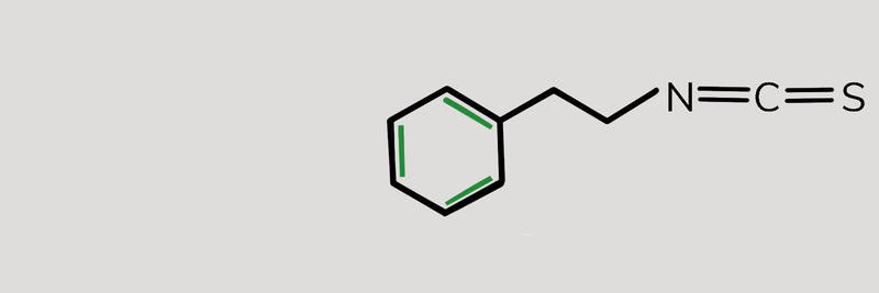 Our Research - Watercress Research