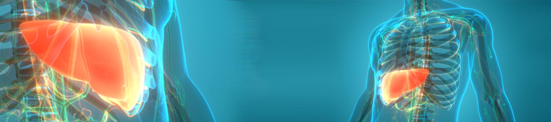 What is Urease? - Watercress Research