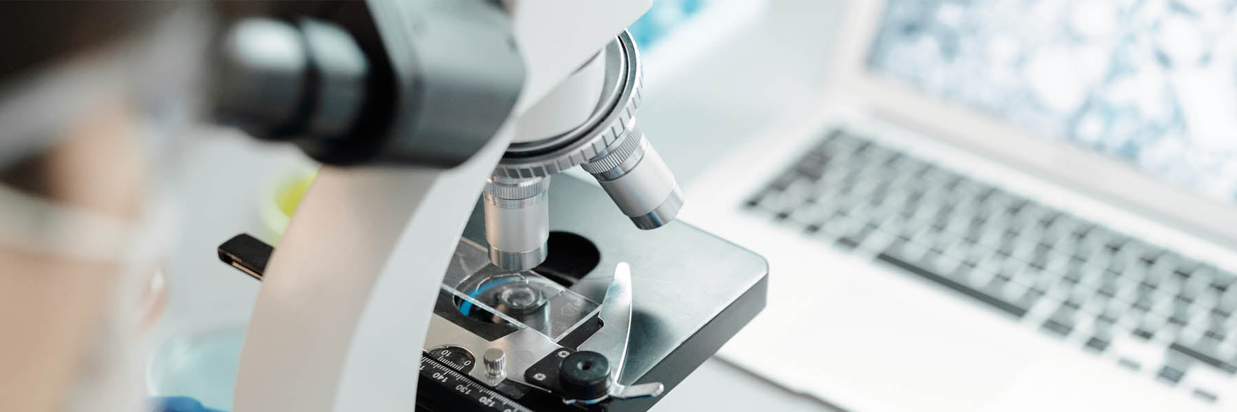 Our Research - Watercress Research