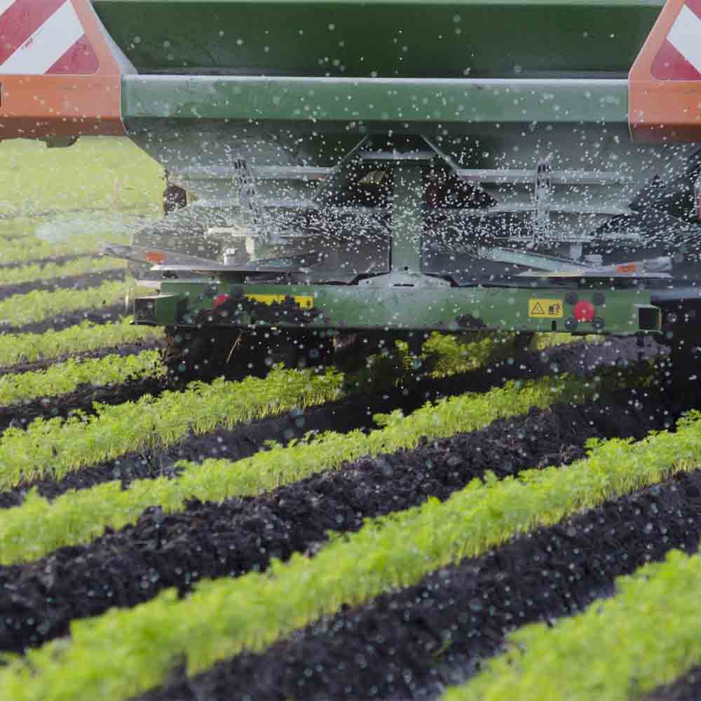 Urease in Agriculture - Watercress Research