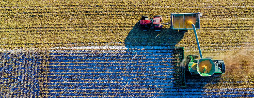 Urease in Agriculture - Watercress Research